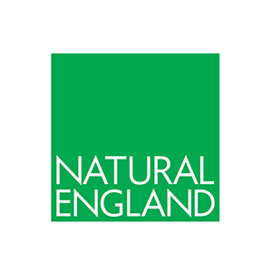 Who We Work With - Element Sustainability